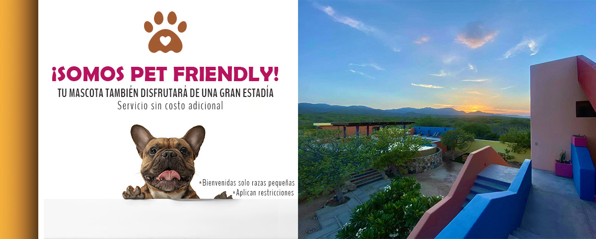 Explore El Cardonal, Mexico – Visit Los Barriles & El Cardonal