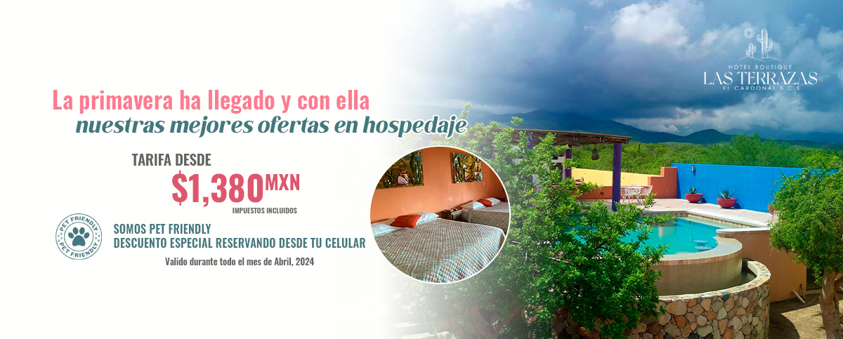 Explore El Cardonal, Mexico – Visit Los Barriles & El Cardonal